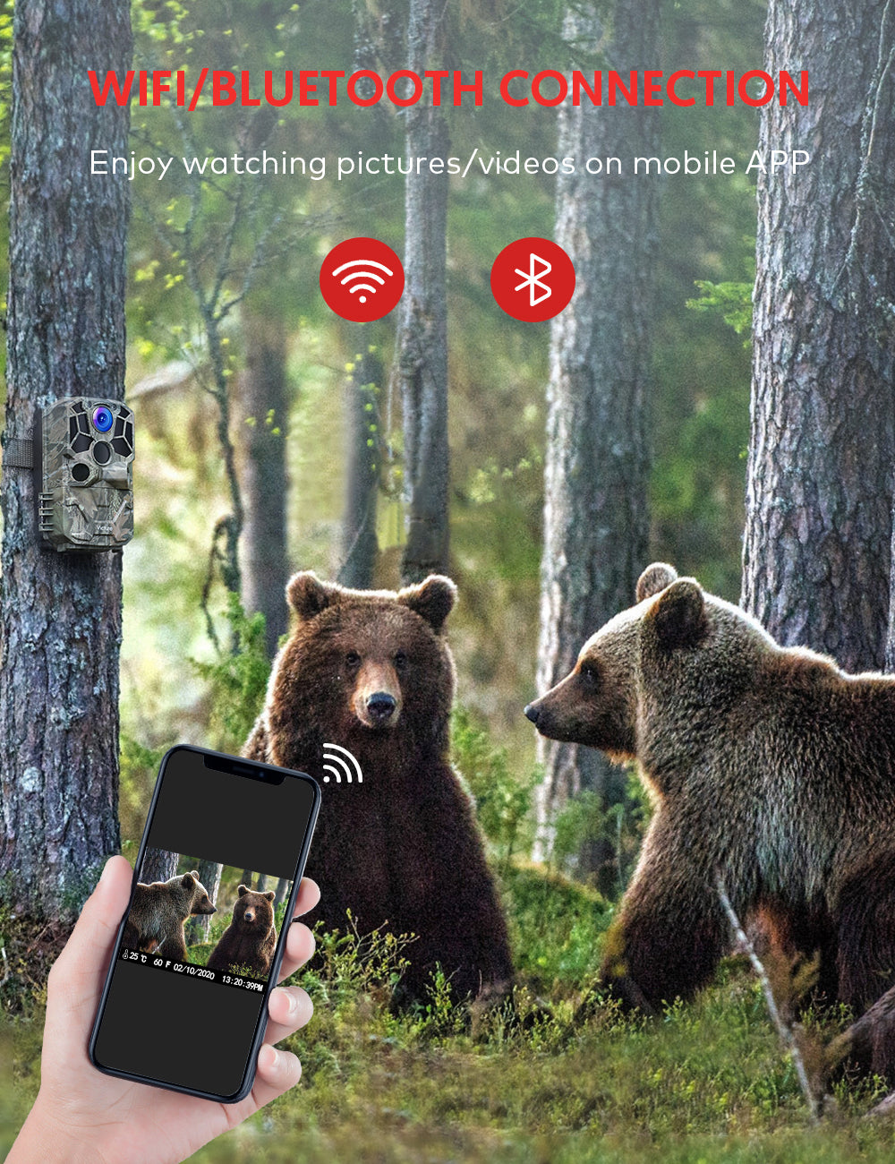 Store – Victure US